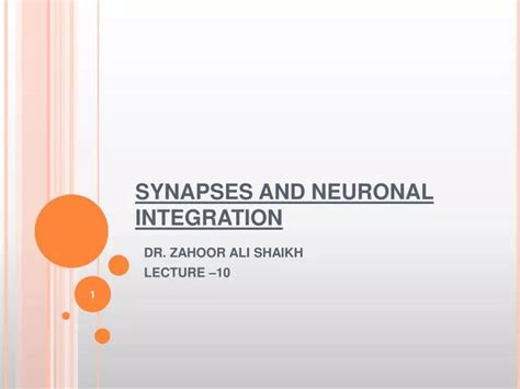 Ppt Synapses And Neuronal Integration Powerpoint Presentation Free