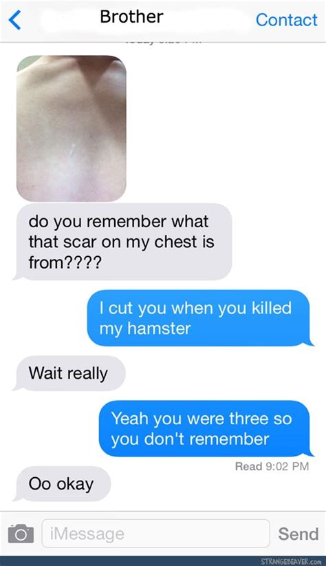 strange text messages 11 19 strange beaver funny text conversations