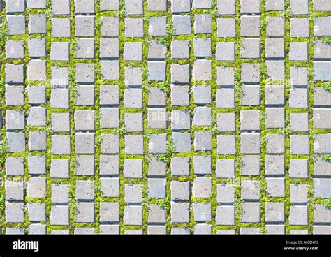 Grass Repeating Pattern