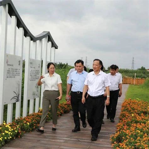 市级机关工委调研天宁区机关党建及作风建设工作 武城村