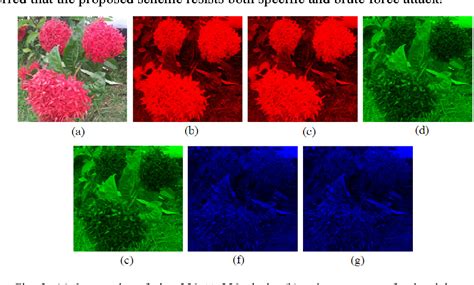 Figure 2 From Image Fusion Using Wavelet Transform And Its Application