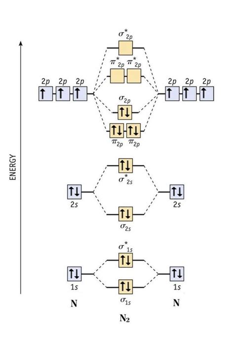 O2 Molecular Diagram
