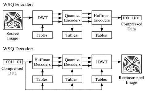 Overview Of The Wsq Algorithm Source A Lossless Compression Of Ligo