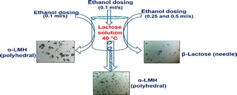 Modeling Simulation And Influence Of Operational Parameters On Crystal Size And Morphology In