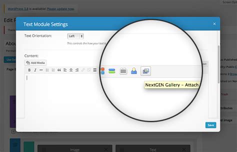 On The Third Day Of Divi We Unlock The Simple Power Of The Text Module