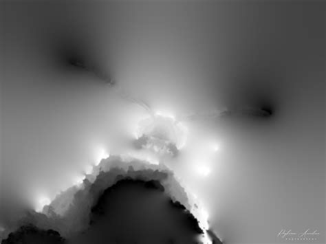 Zerene Stacker A Guide To Pmax And Dmap Wildlife Macro