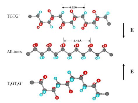 The Conformations Of Pvdf Trfe Copolymer Bauer 2012 Download