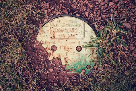 Basic View Simple LiteSpeed Cache Settings LiteSpeed Blog