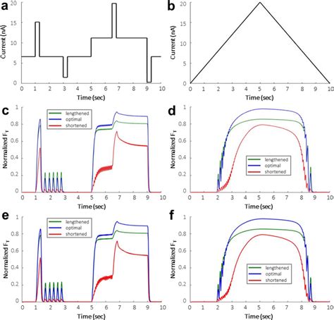 A B Input Activation Profiles From Kim¹⁹ Implemented In The Single