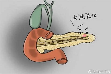 小心急性胰腺炎！医生提醒：9个症状不要忽视，严重可能危及生命糖尿病慢性胰腺炎疫情腹部腹痛新浪新闻