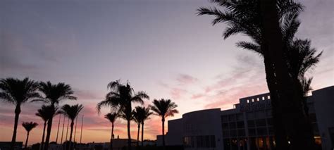 Mohamed Fadl On Linkedin Such A Beautiful Sunset 💕