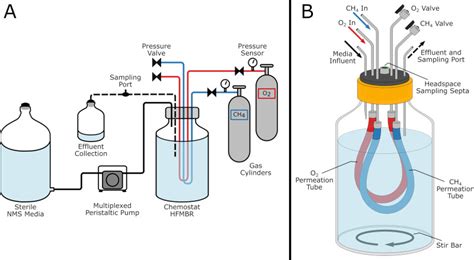 Methane Monooxygenase Gene Transcripts As Quantitative Biomarkers Of Methanotrophic Activity In