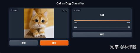 【图像分类】pytorch猫狗分类（完整源码swanlab可视化gradio Demo） 知乎