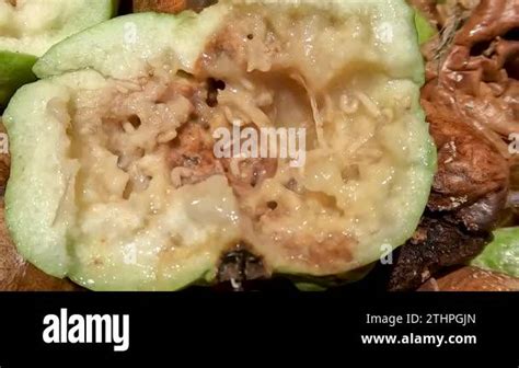 Fruit Fly Larvae Stock Videos And Footage Hd And 4k Video Clips Alamy