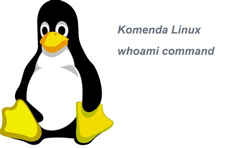 komenda linux whoami command ittalk pl