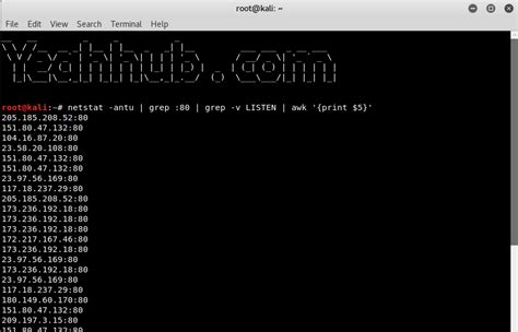 10 Cool Netstat Commands You Need To Know Yeah Hub