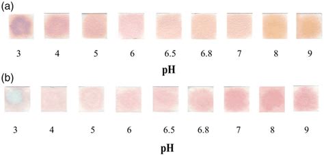 Effect Of Ph On Working Of The Biosensor For A Catechol And B Download Scientific Diagram