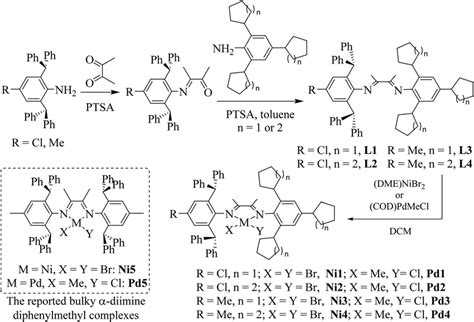 Scheme 3 Synthesis Of Unsymmetrical α Diimine Ligands And The Download Scientific Diagram