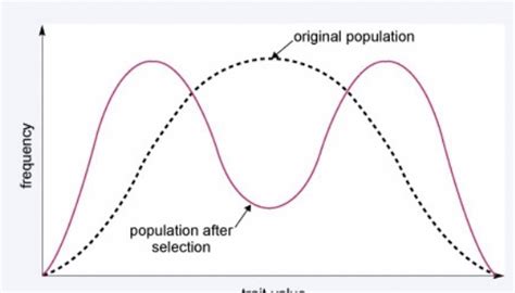 The Selection Depicted In Geaph Maychoose Correct