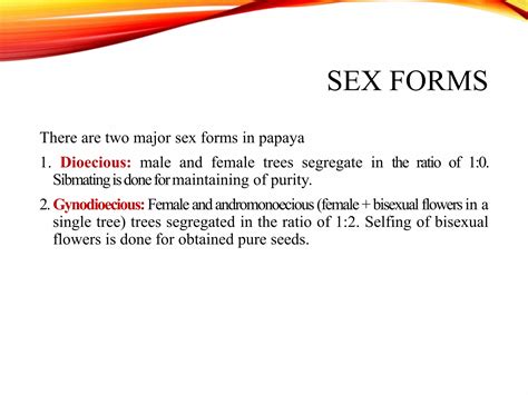 Breeding Of Papaya Pptx