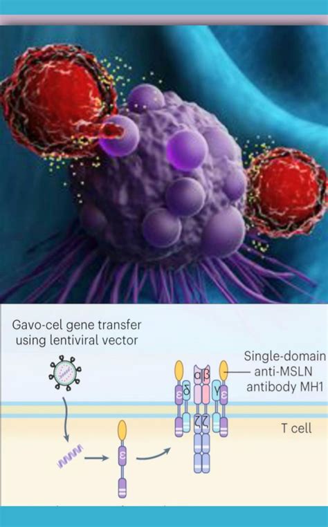 giulia chiola posted on linkedin