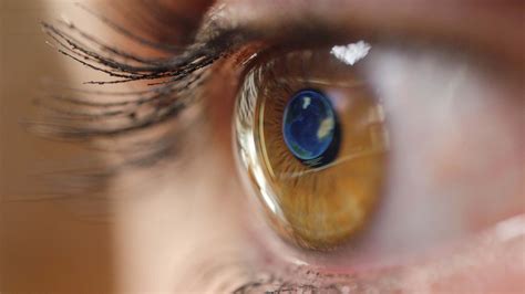 Influence Of Orthok Treatment Zone Diameter And Pupil Diameter On