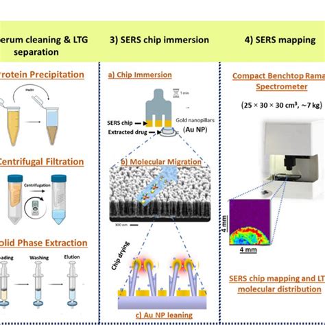 Schematic Representation Of The Experimental Steps For The Development