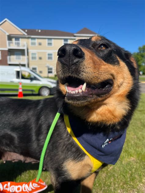 Tri County Humane Society