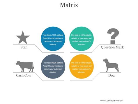 Matrix Ppt PowerPoint Presentation Infographic Template