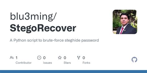 Github Blu3mingstegorecover A Python Script To Brute Force Steghide