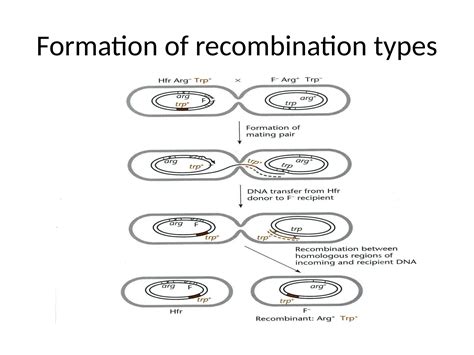 Transformation Conjugation And Transductionpptx