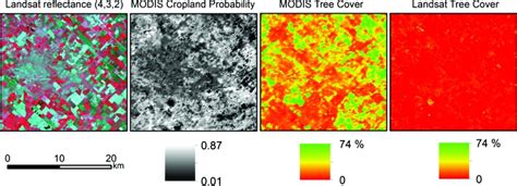 Comparison Of Accuracy Between Modis Based And Landsat Based Tree Cover Download Scientific