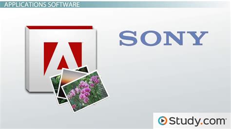 application software overview types and examples lesson