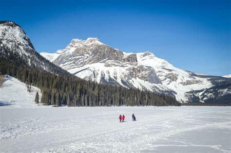 Emerald Lake In Yoho Your Ultimate Guide 2025