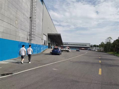 智仓易商 Wms仓储系统 Tms配送系统 供应链数字化