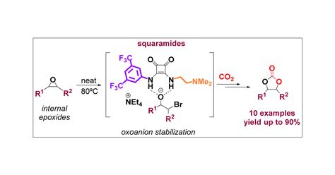 Pushing The Limits With Squaramide Based Organocatalysts In Cyclic Carbonate Synthesis Acs