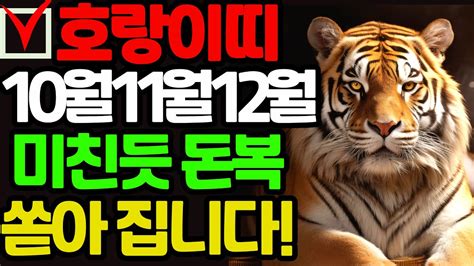 2024년 하반기 호랑이띠 운세 미친듯한 돈복이 쏟아집니다 금전운 초대박나는 호랑이띠 운세 86년 74년 62년 50년 범띠운세월별운세 호랑이띠운세 Youtube