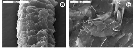 Sem Micrographs Of Expanded Graphite A Before And B After Download Scientific Diagram