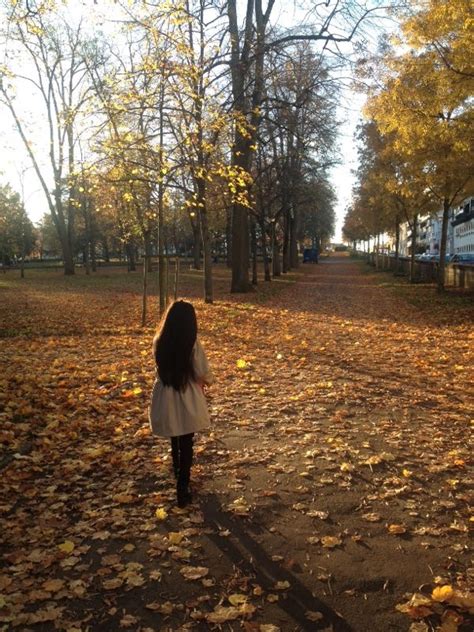 秋天背影 月夜背影 大山谷图库