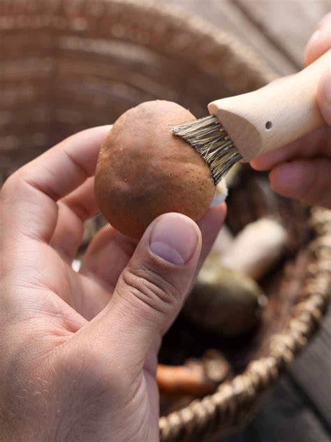 Flawless Fungi How To Clean Mushrooms Properly