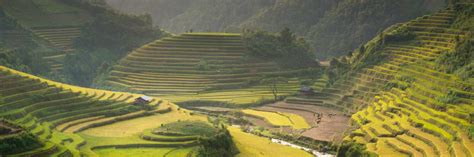 Ton Duc Thang University