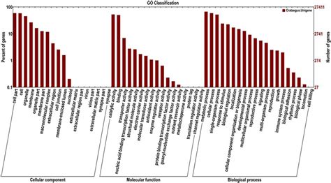 Histogram Of The Go Classifications Of The Assembled C Pinnatifida