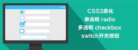 html多选框 美化 用css3美化单选框 radio 、多选框 checkbox 和 switch开关按钮 csdn博客