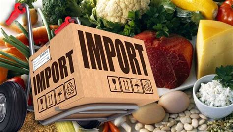 How To Import Food Products Into The Uae A Comprehensive Guide