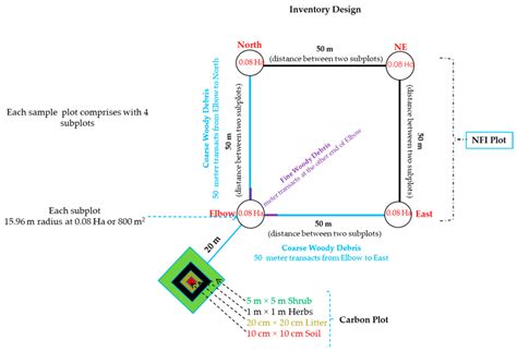 field forest inventory sampling design in myanmar source planning and