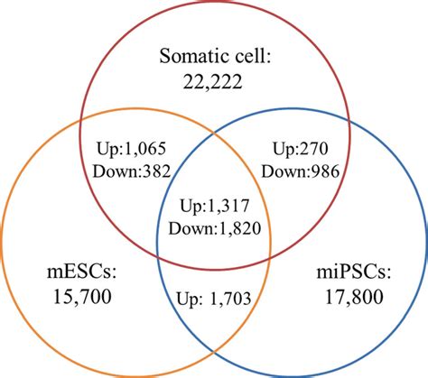 venn diagram showing the gene lists found by integrating microarray download scientific diagram