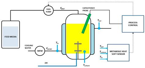 A Soft Sensor For Bioprocess Control Based On Sequential Filtering Of Metabolic Heat Signals
