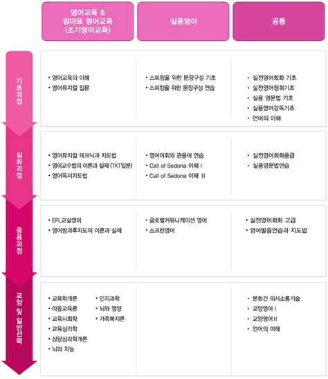 글로벌사이버대학교 실용영어학과 교육과정