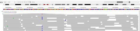 Cnv Visualization
