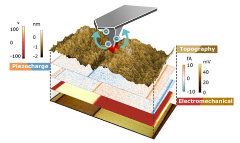 Piezo Generated Charge Mapping Revealed Through Direct Piezoelectric